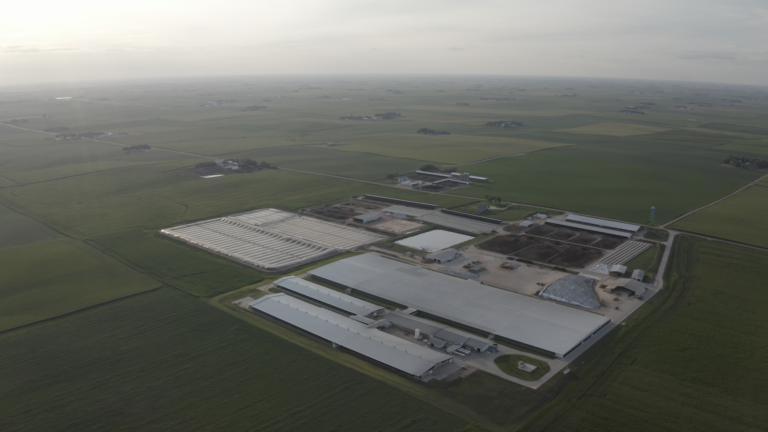 Making Renewable Energy from Dairy Cow Manure Makes Sense